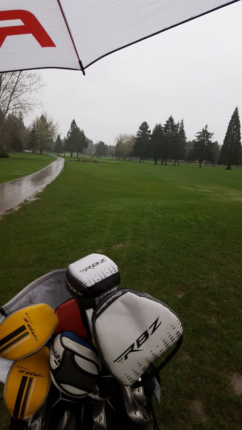 Golf and QA: Smoothing out the imperfections - PNSQC